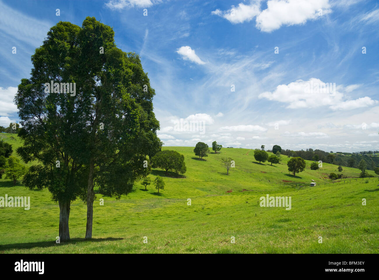 Green landscape with trees Stock Photo - Alamy