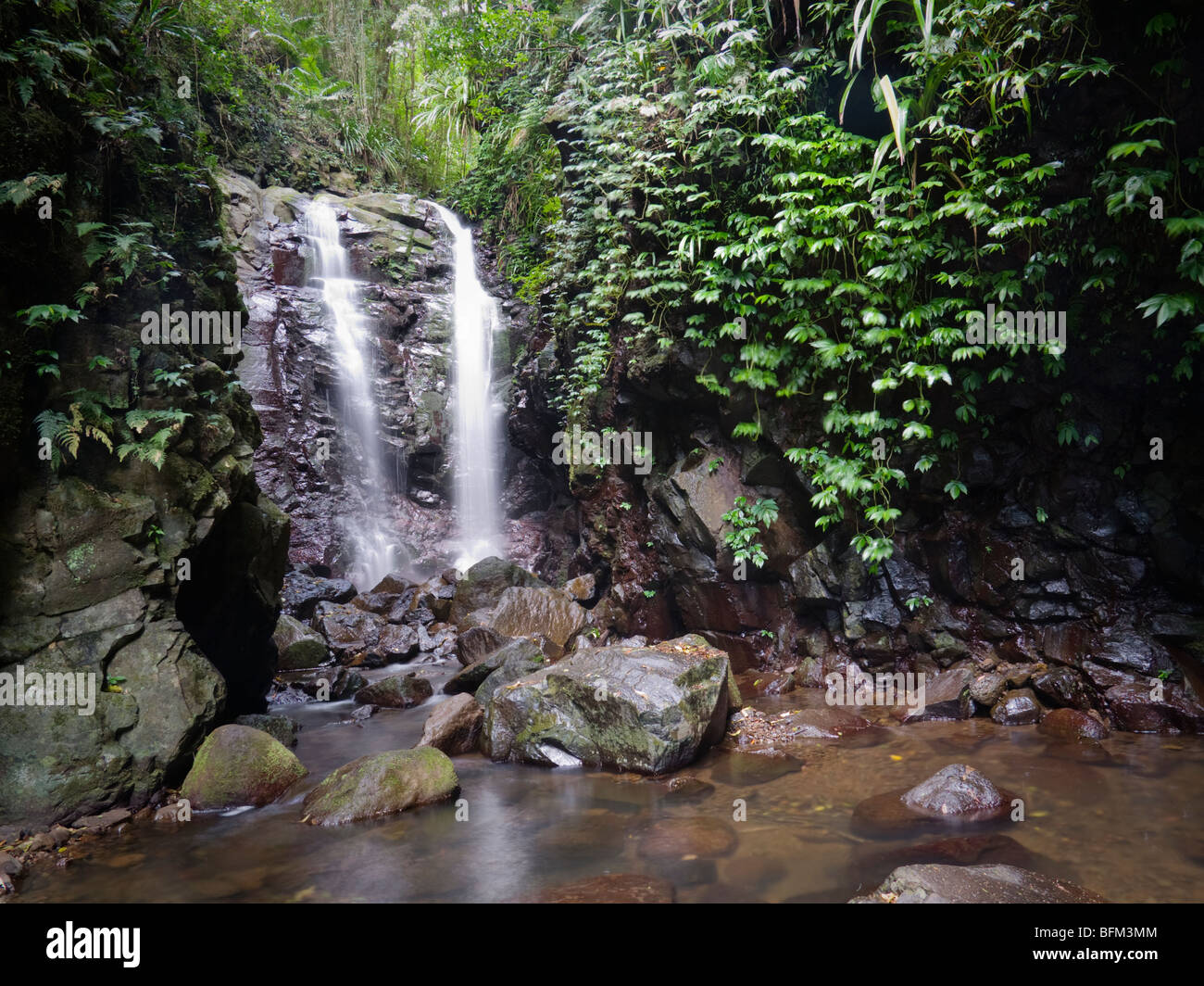 Box log falls hi-res stock photography and images - Alamy