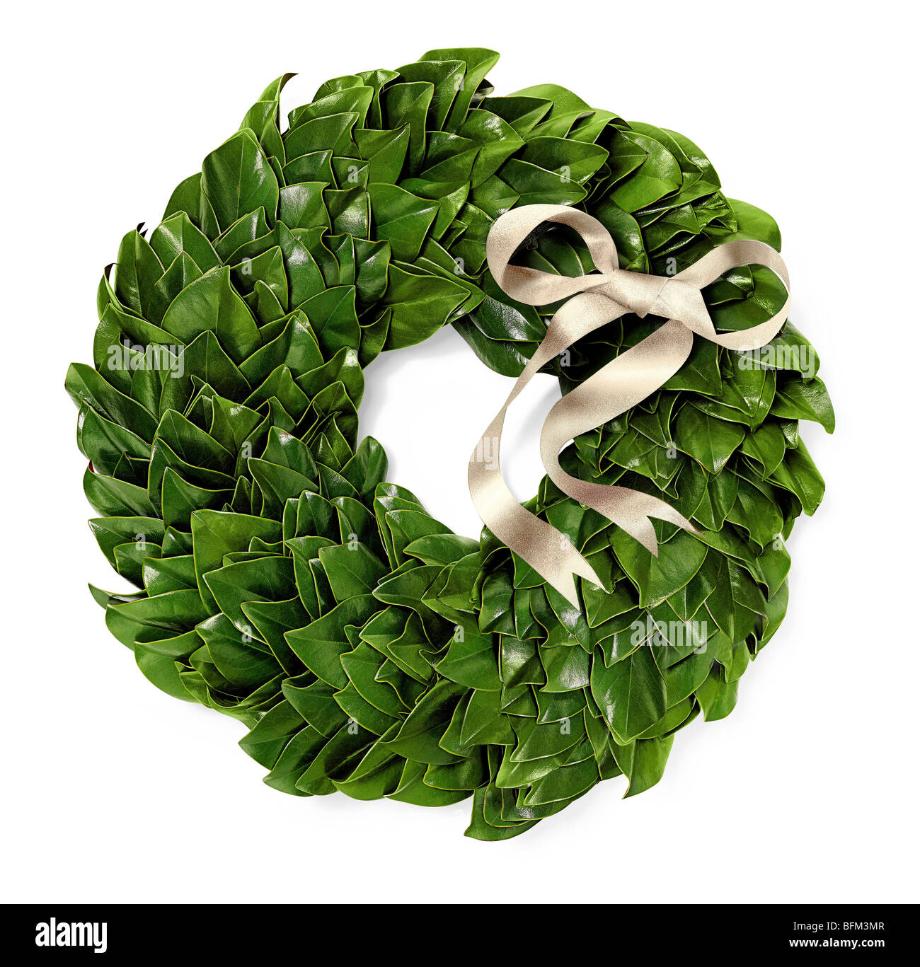 Christmas holiday winter floral Cut Out Stock Images & Pictures - Alamy