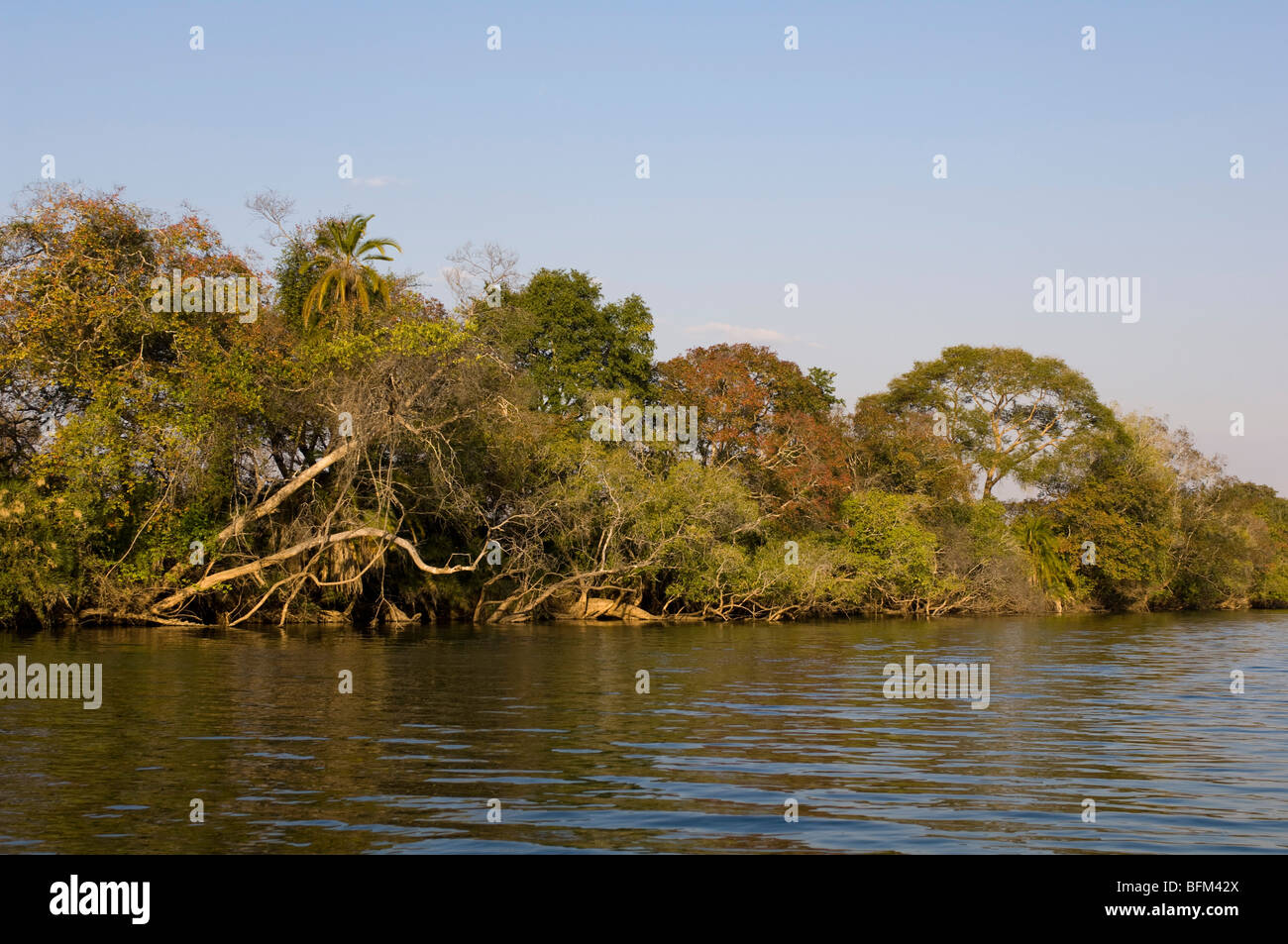 Lunga River, Kafue National Park, Zambia Stock Photo - Alamy