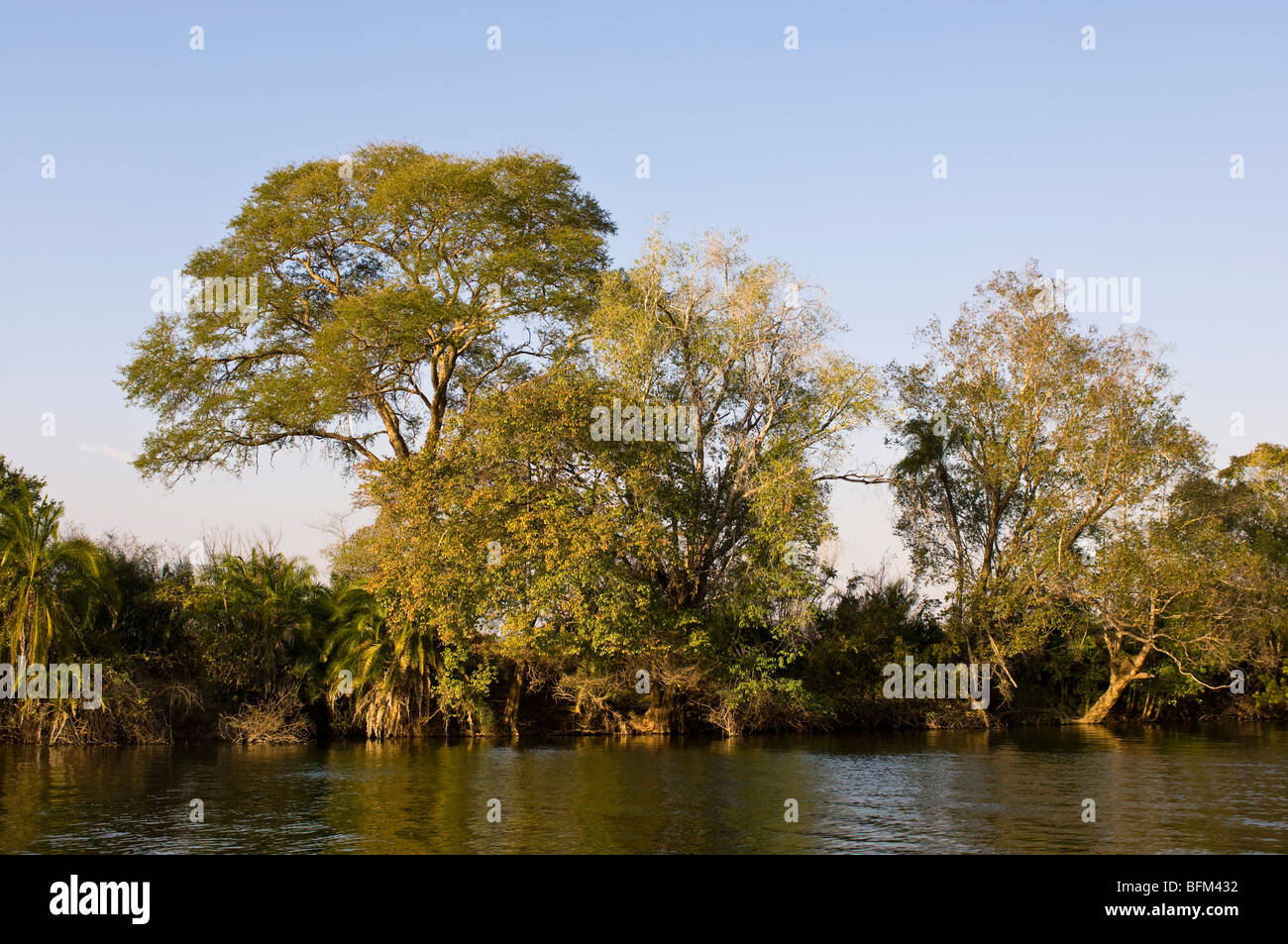 Lunga River, Kafue National Park, Zambia Stock Photo - Alamy