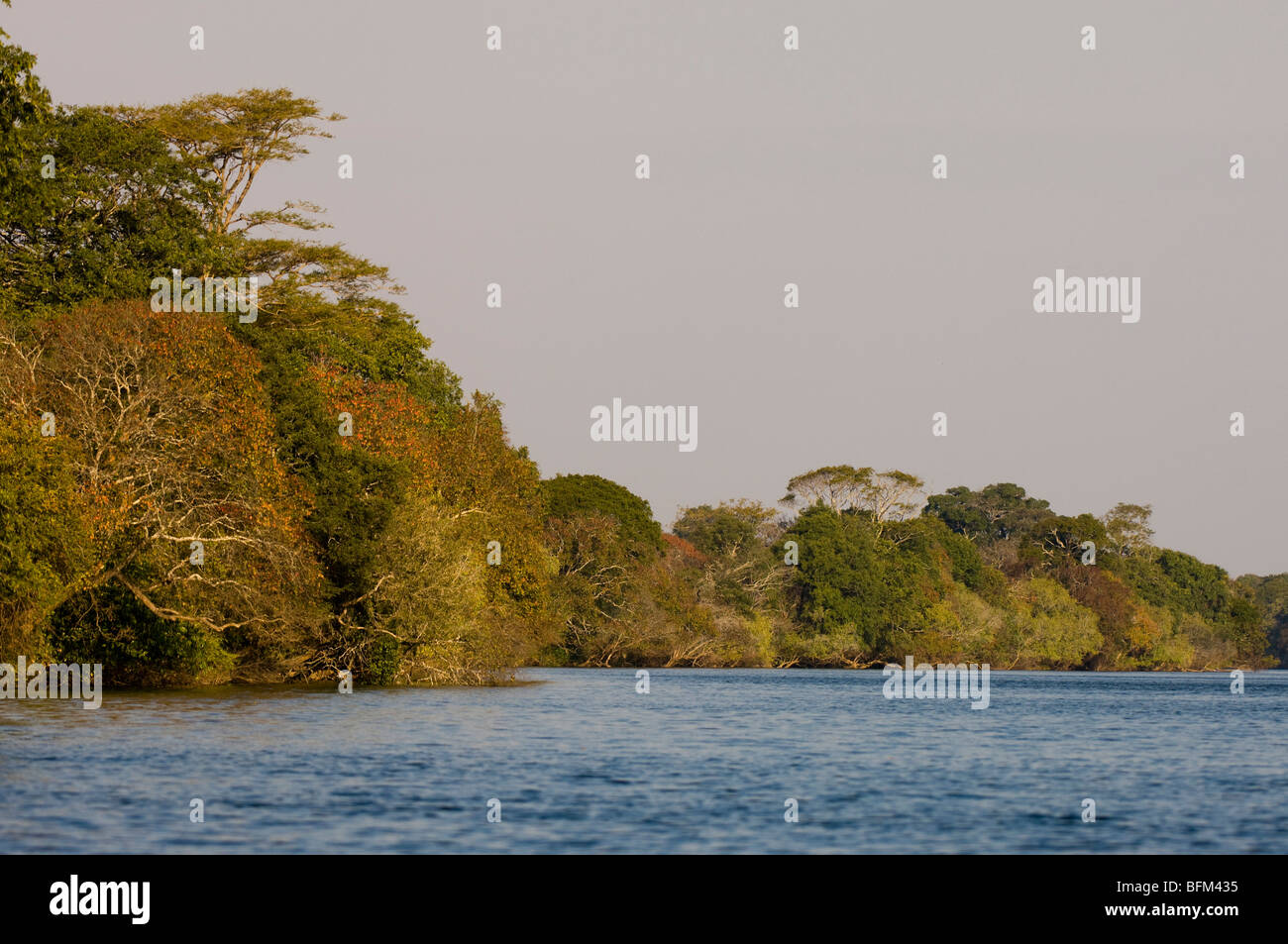 Lunga River, Kafue National Park, Zambia Stock Photo - Alamy