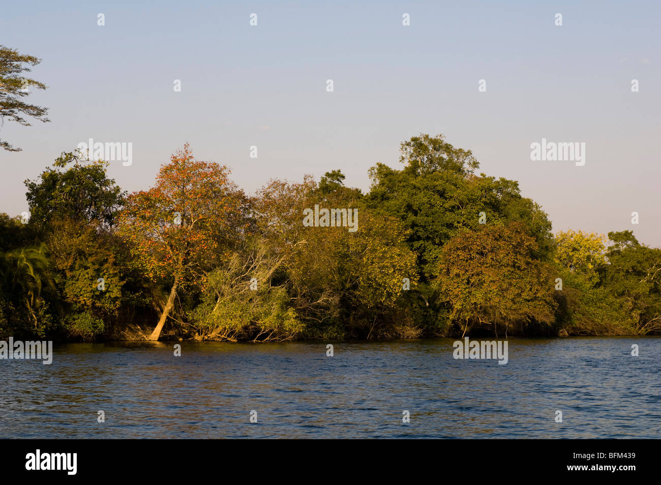 Lunga River High Resolution Stock Photography and Images - Alamy