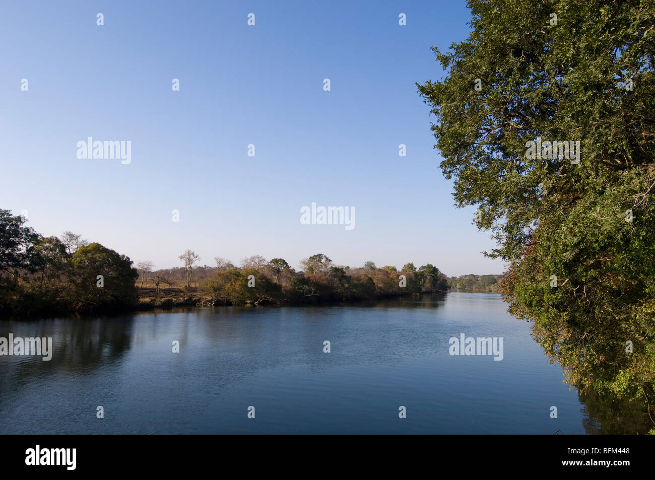 Lunga River, Kafue National Park, Zambia Stock Photo - Alamy