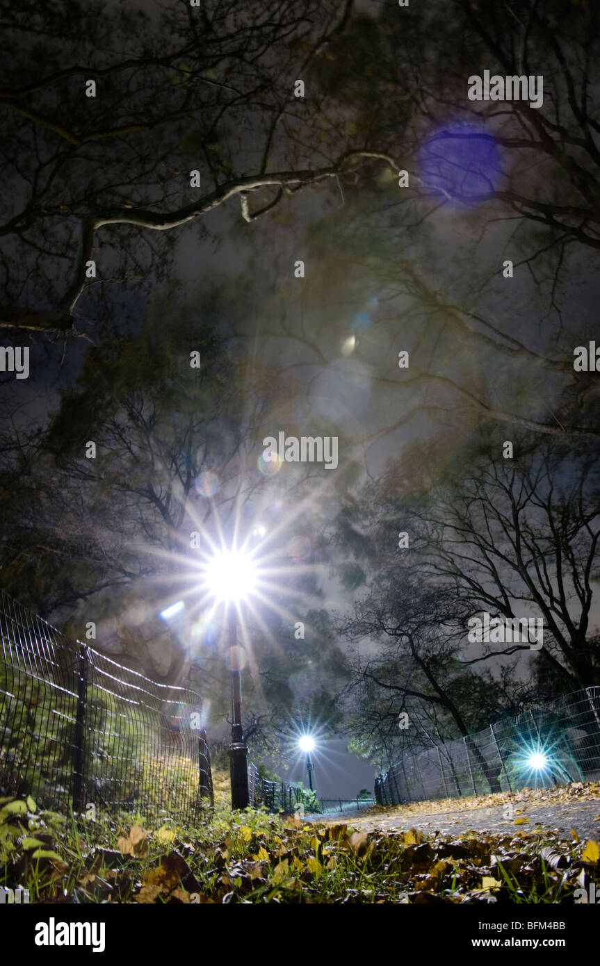 Lamp post glowing against a park at night Stock Photo - Alamy