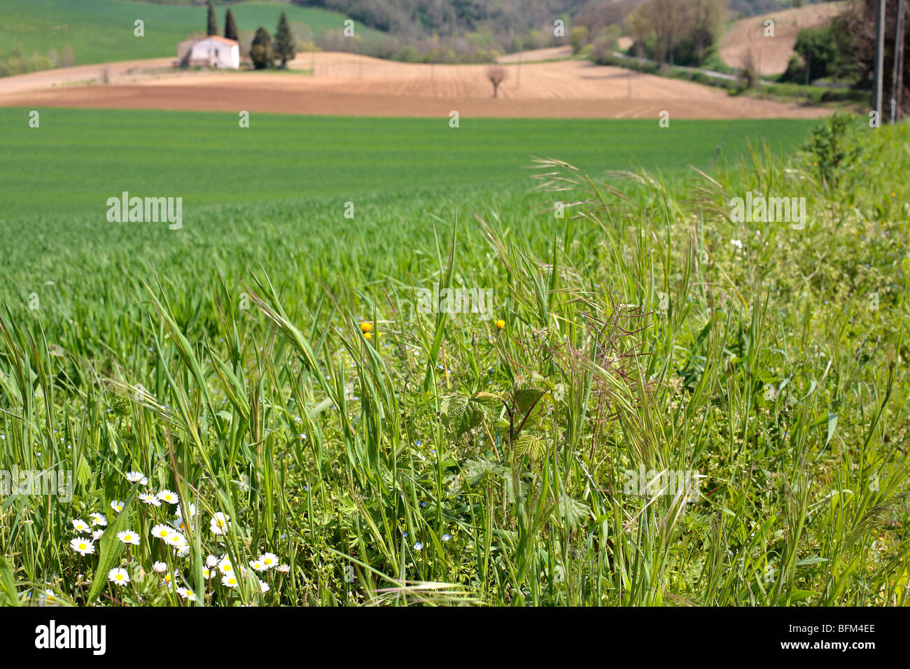 Marche landscape hi-res stock photography and images - Alamy