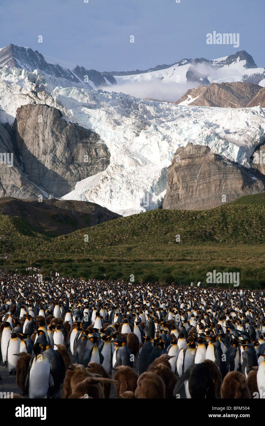 Gold harbor south georgia hi-res stock photography and images - Alamy