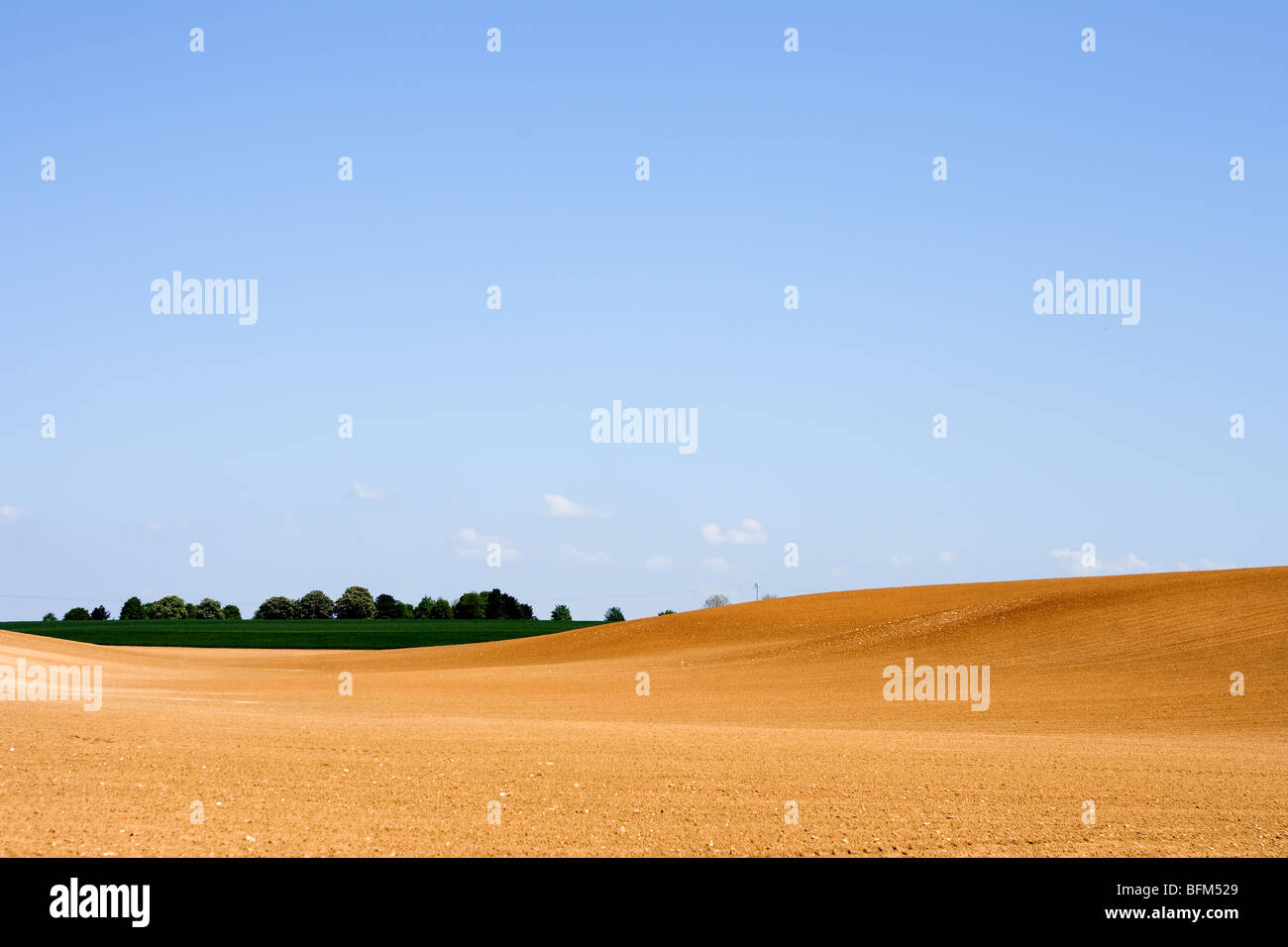 Empty landscape, just sown ground. Landscape orientation. Green trees ...