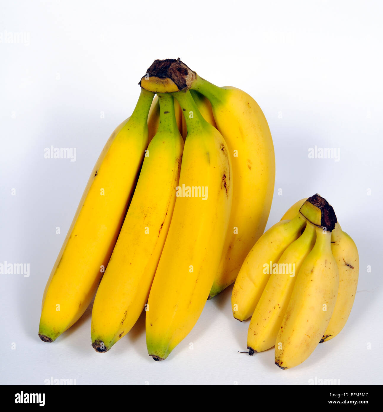 Two bunches of ripe bananas large and small varieties produce of Costa ...