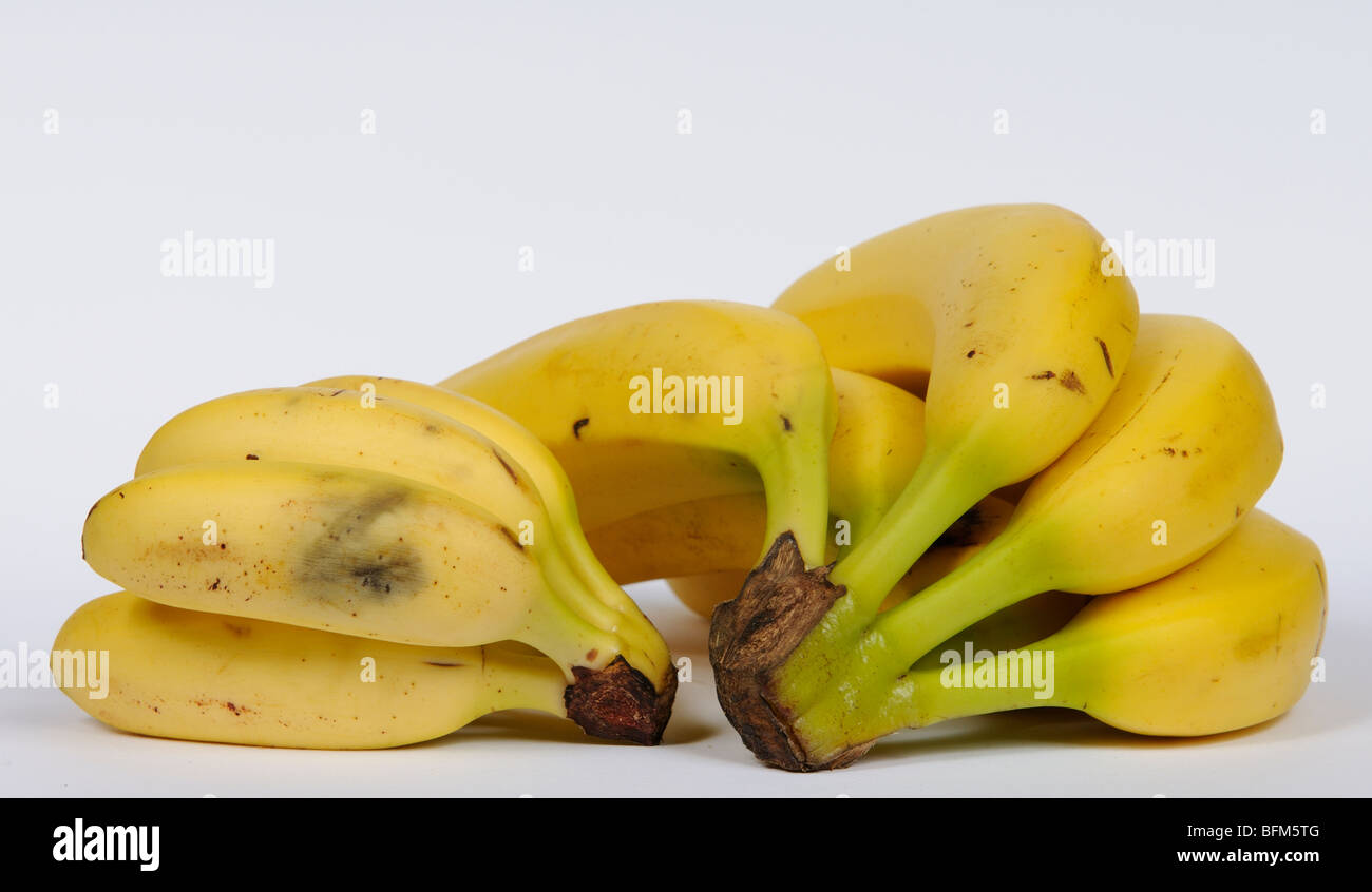 Two bunches of ripe bananas large and small varieties produce of Costa ...