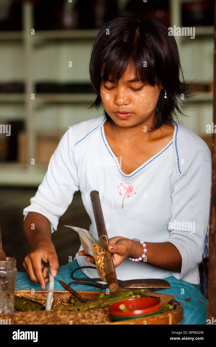 A woman making cheroots (cigars) in a factory on Inle Lake, Myanmar ...