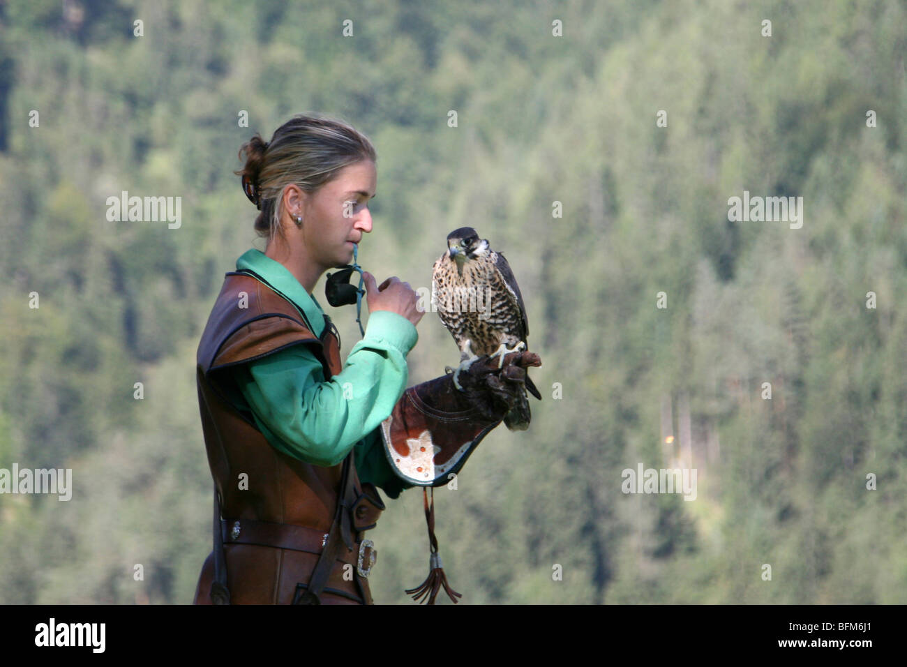 Falconer medieval hi-res stock photography and images - Alamy
