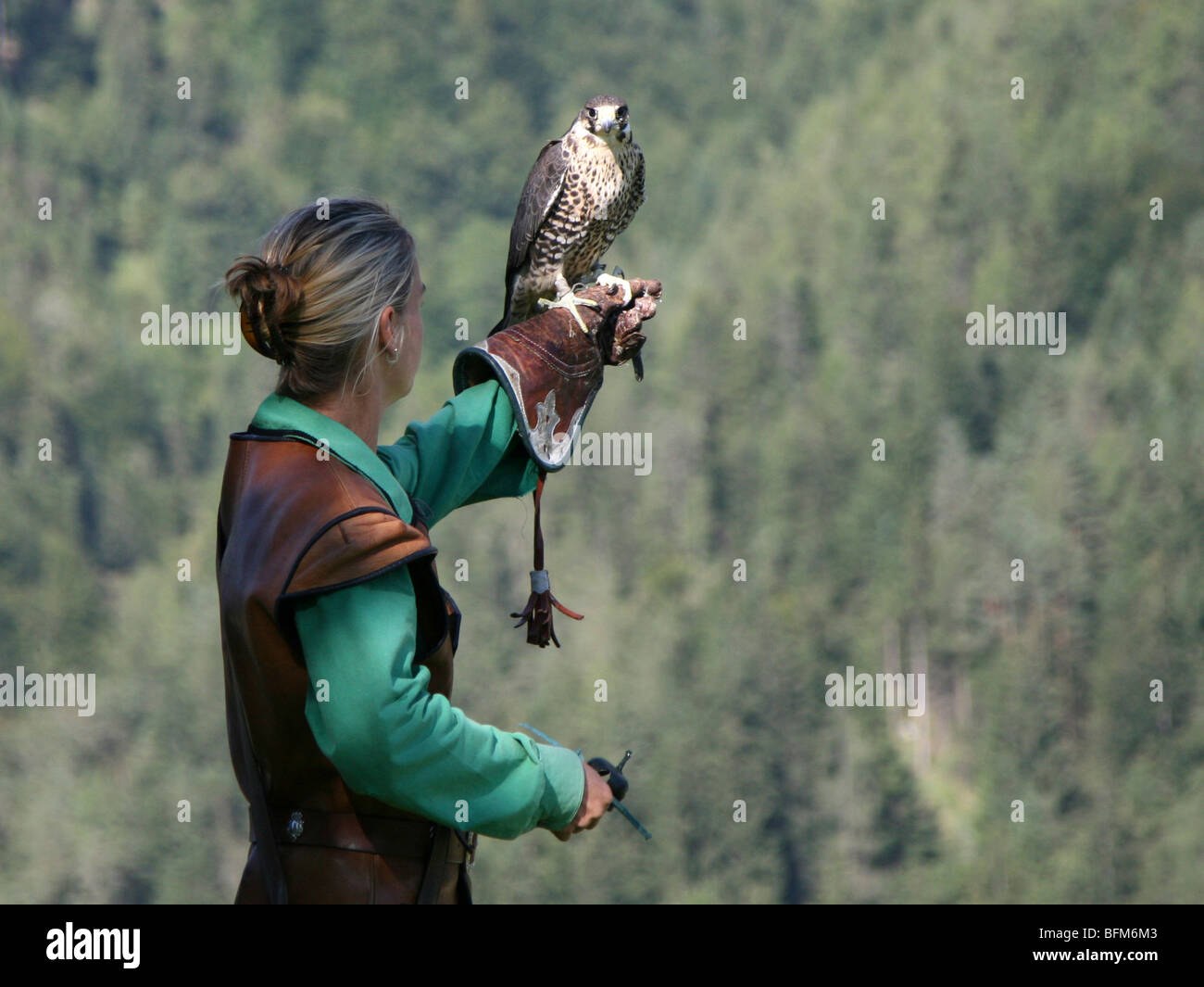 Falcon show hi-res stock photography and images - Alamy