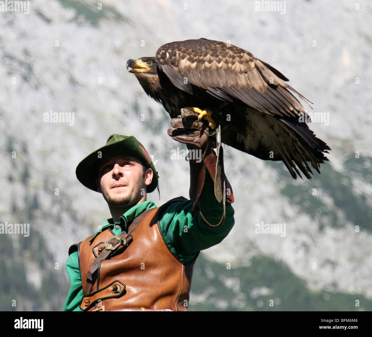 Trained vulture hi-res stock photography and images - Alamy