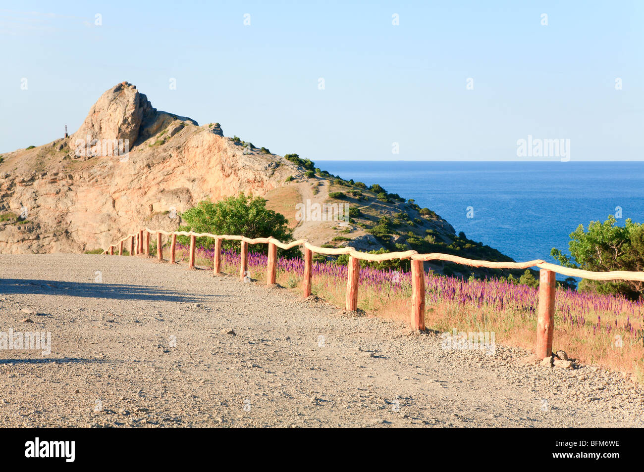 Flowers on coastline of "Novyj Svit" reserve (Crimea, Ukraine, "Capchik ...