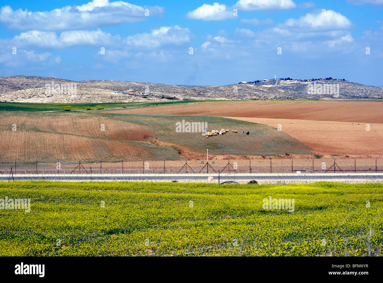 Negev region hi-res stock photography and images - Alamy