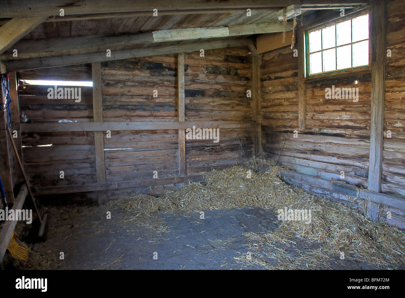 Interior of a horse stable. HDR image Stock Photo - Alamy