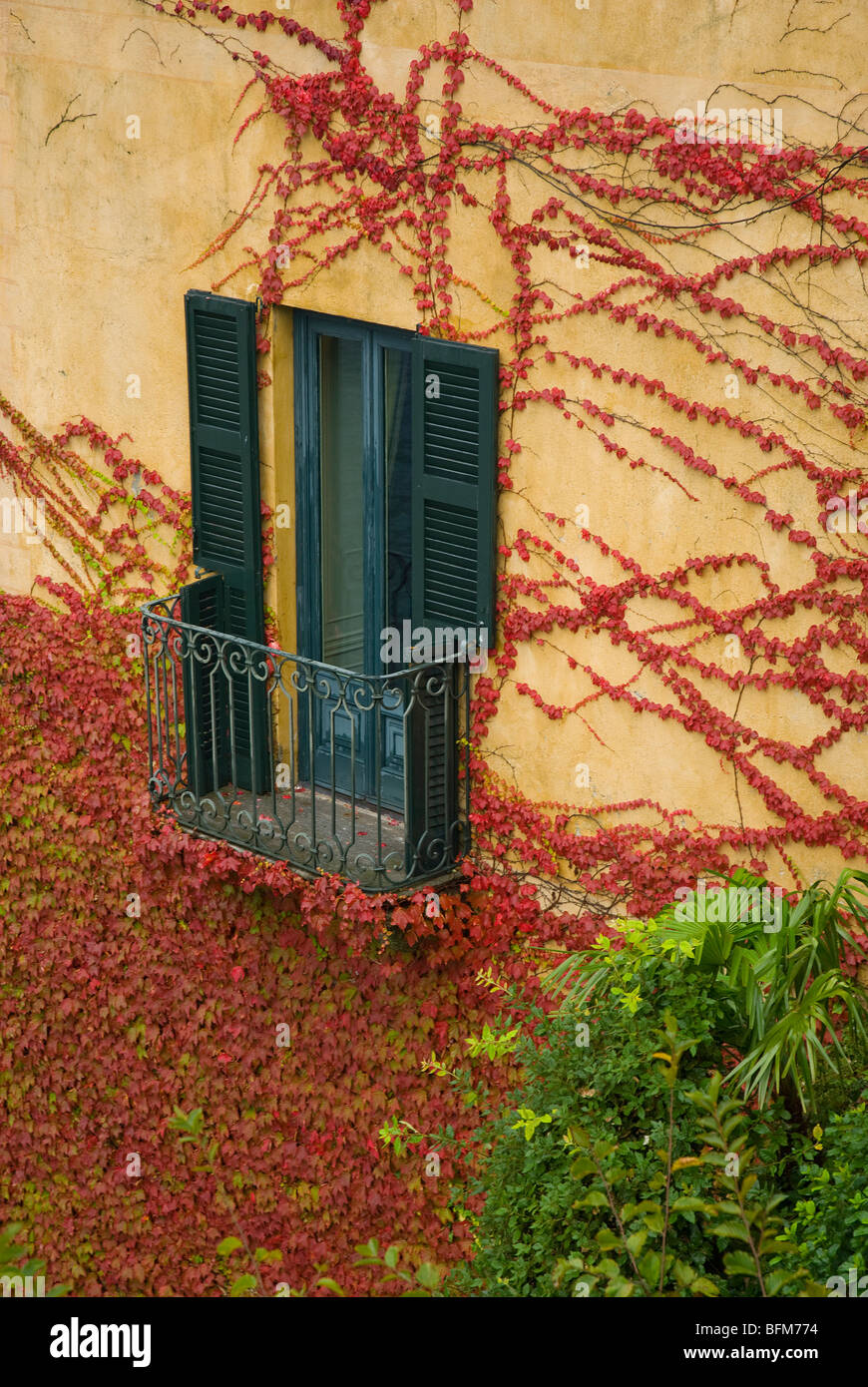 Autumnal ivy surrounding balcony Stock Photo - Alamy