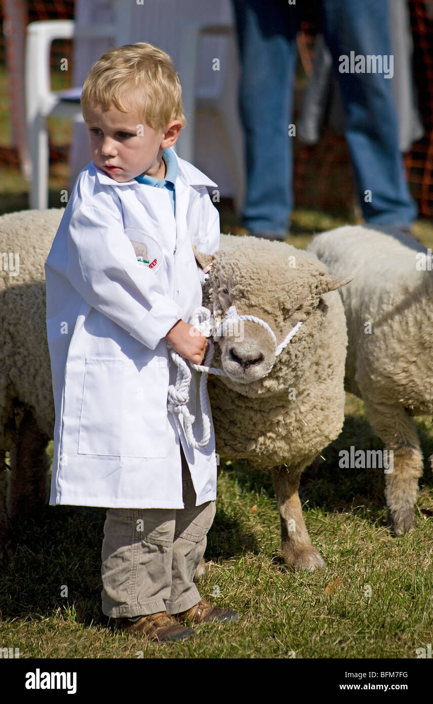 Cute little boy with his pet sheep competing at the Findon Sheep Fair ...