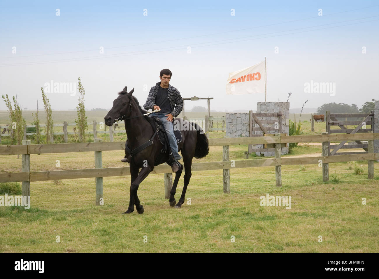 Man riding a horse at the Haras Godiva riding school, Jose Ignacio ...