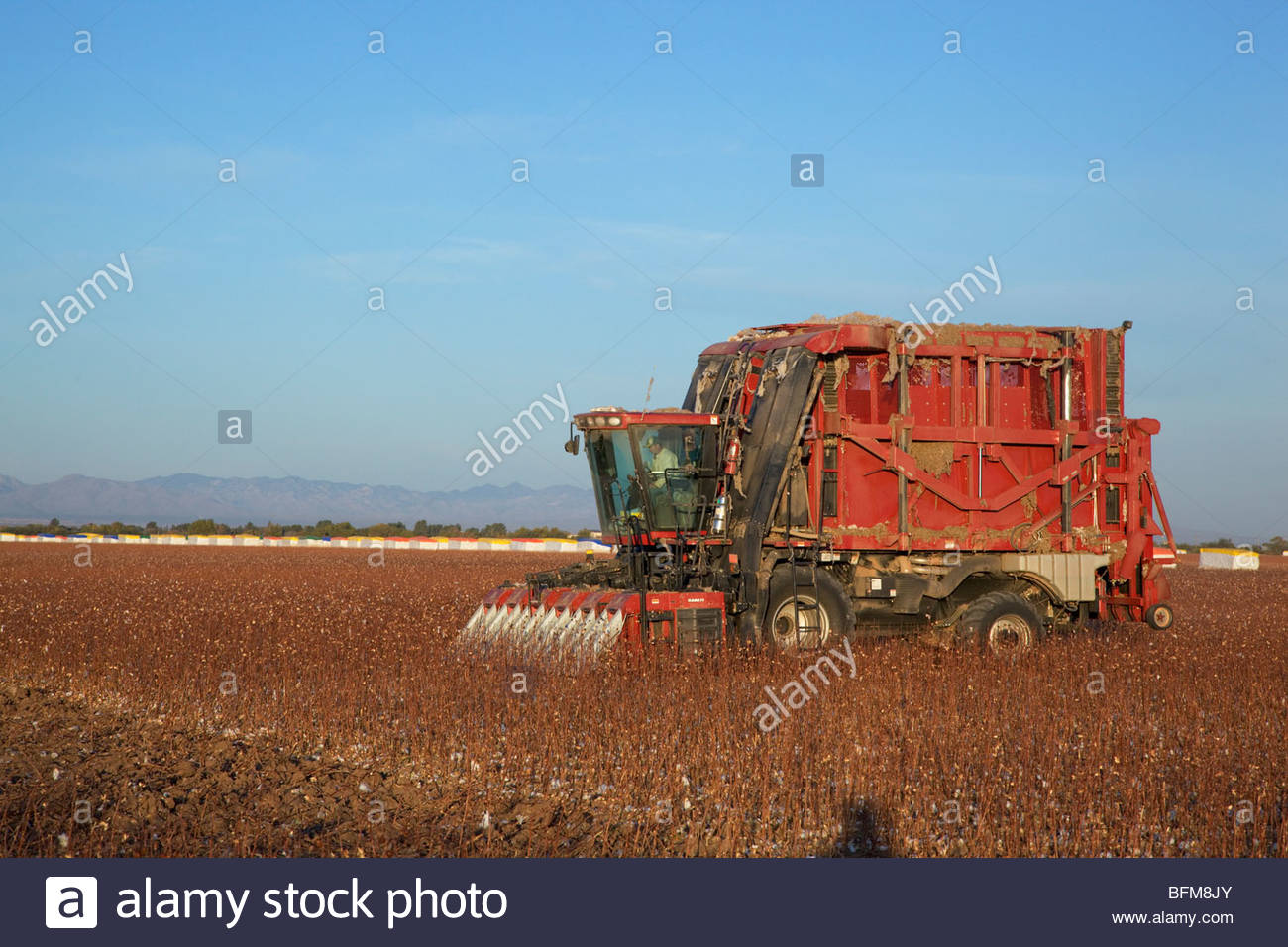 Cotton Picker Stock Photos & Cotton Picker Stock Images - Alamy