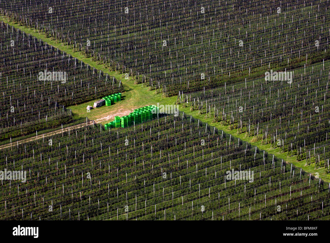 Vineyard from above hi-res stock photography and images - Alamy