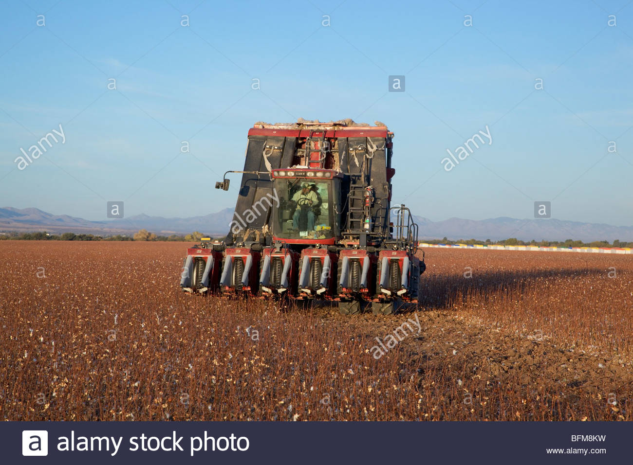 Cotton Picker Stock Photos & Cotton Picker Stock Images - Alamy