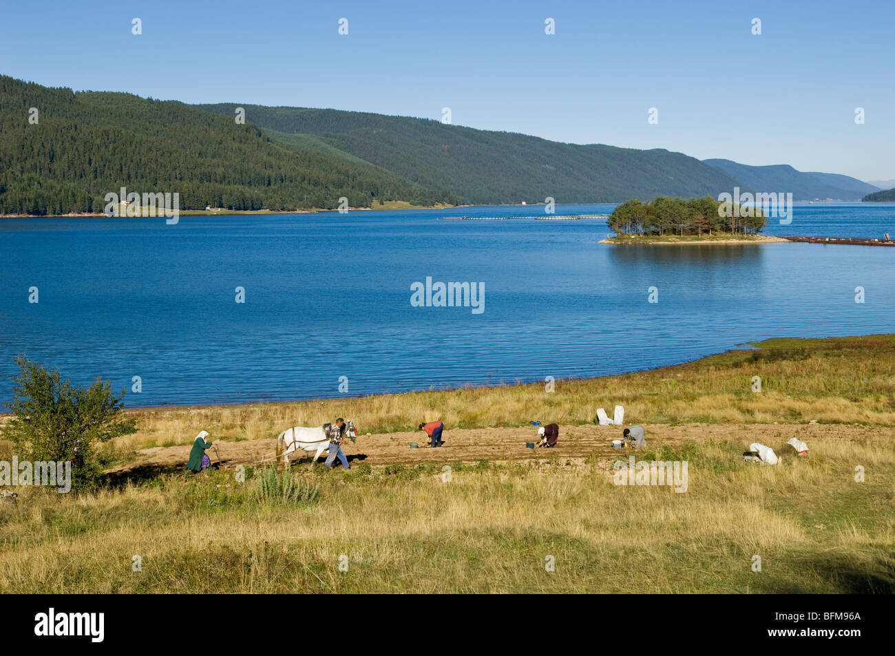 Dospat bulgaria hi-res stock photography and images - Alamy