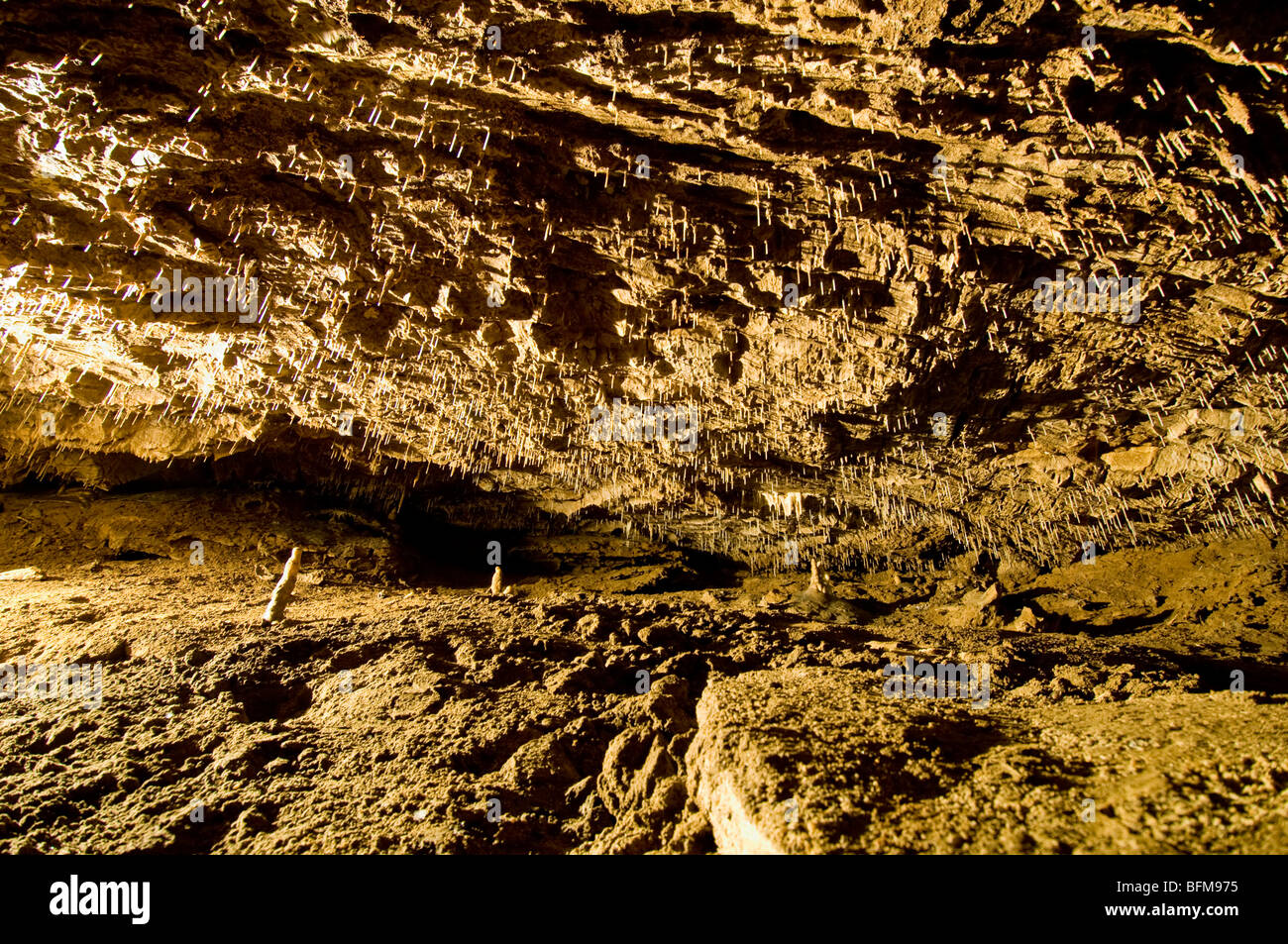 Yagodina cave hi-res stock photography and images - Alamy
