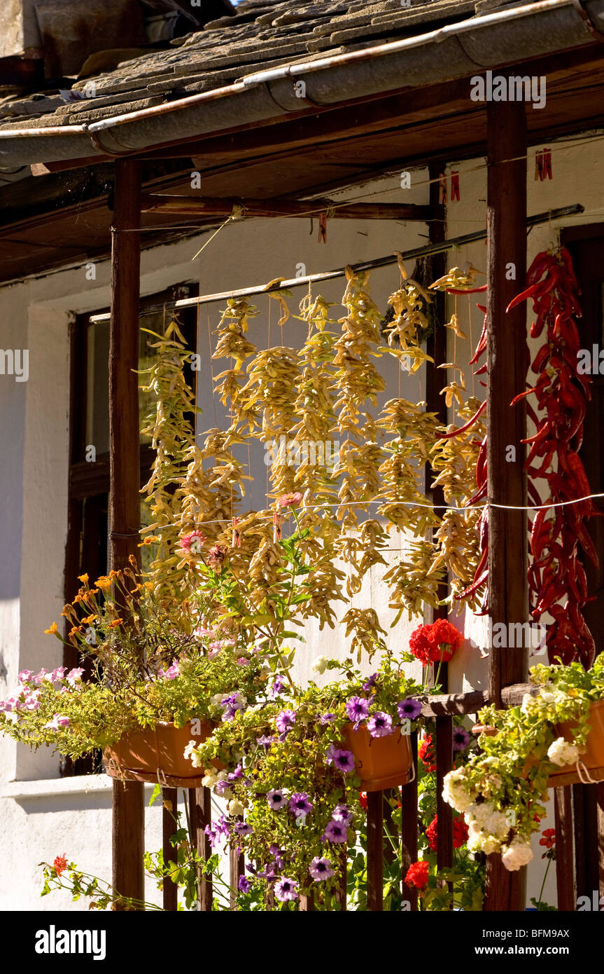 Rural house in village Bulgaria Stock Photo - Alamy