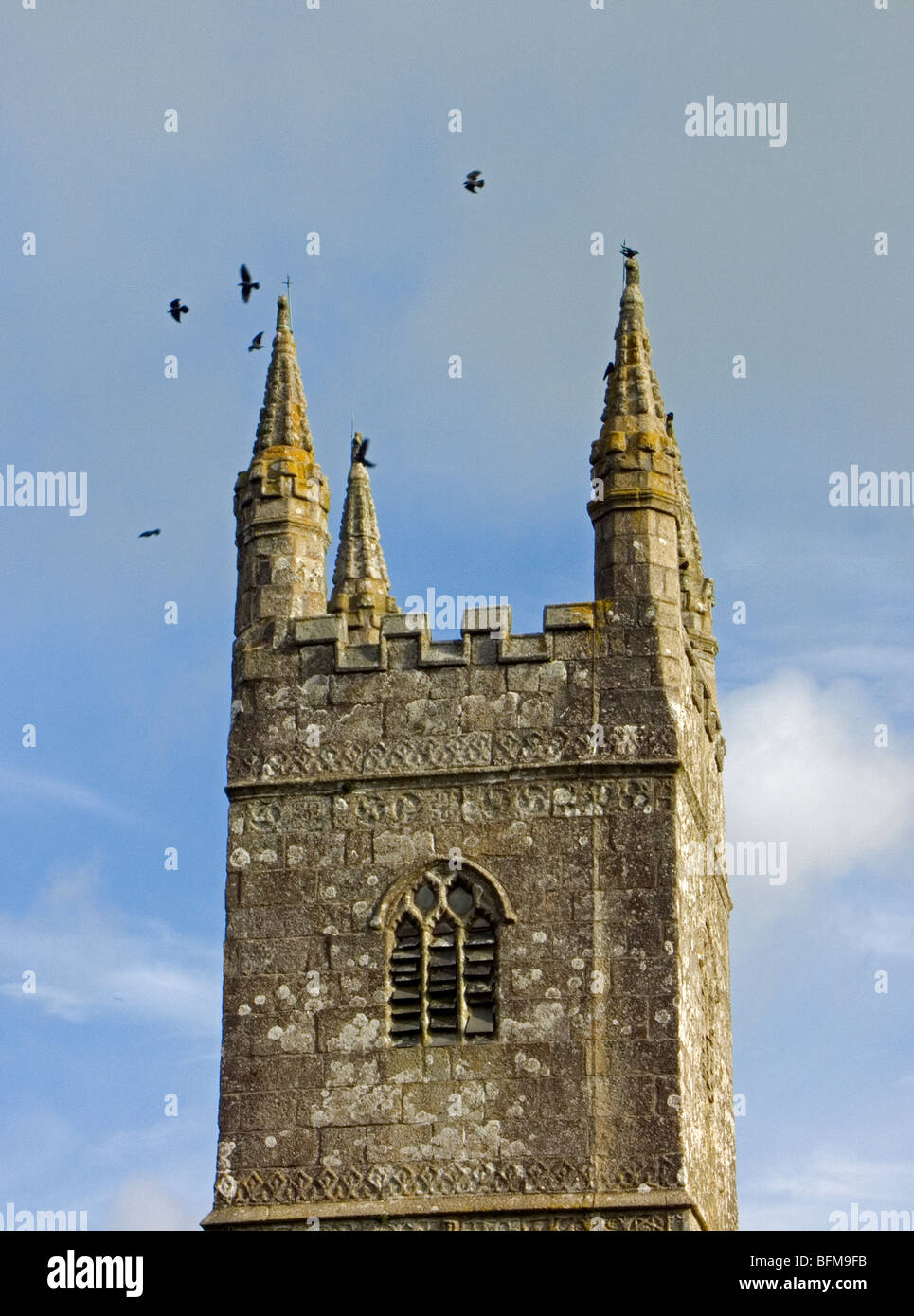 Rooks & Church Tower, Week St Mary, Cornwall Stock Photo - Alamy