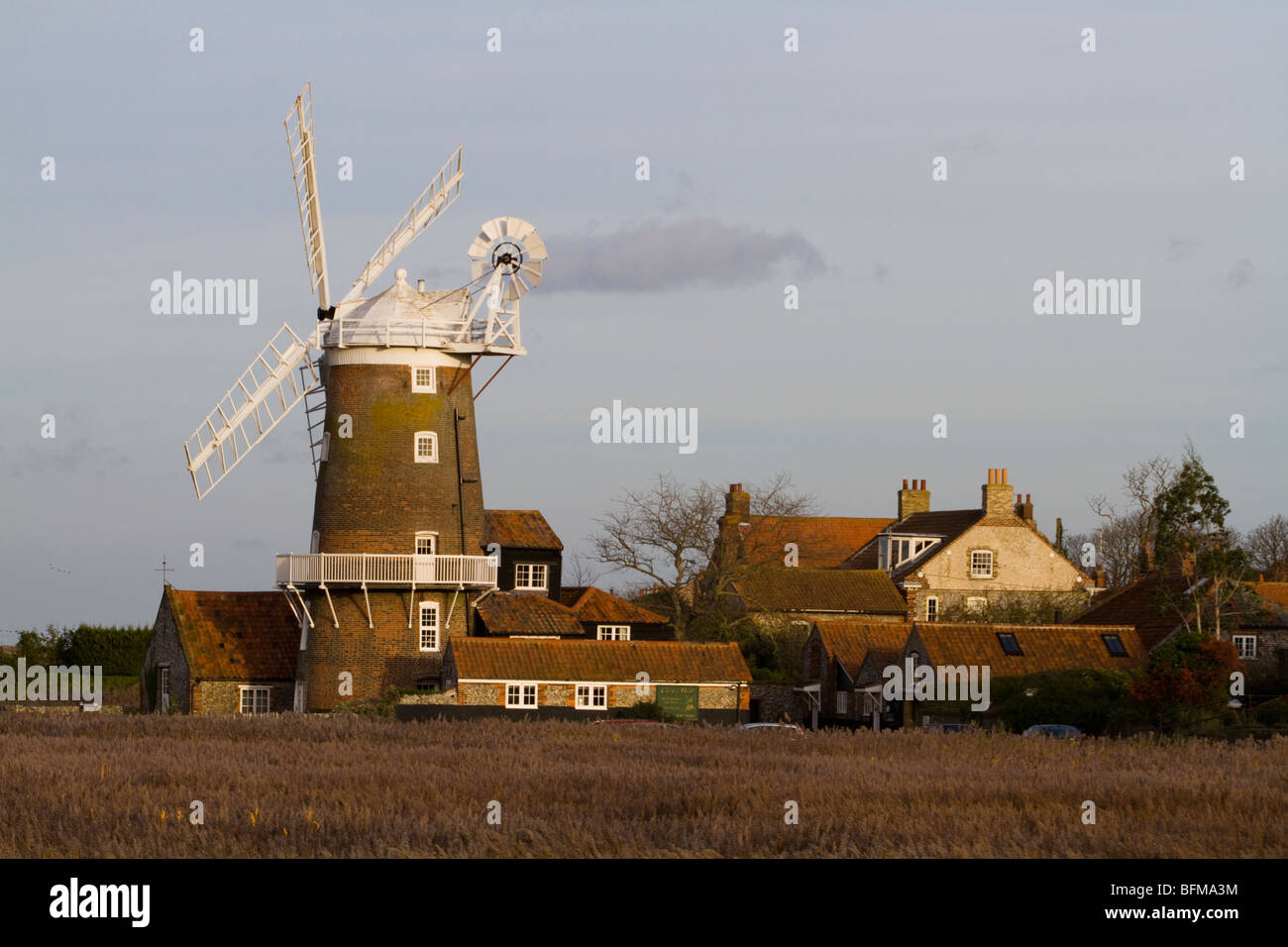 Cley Mill, Norfolk viewed across the reedbeds from the coastal footpath ...