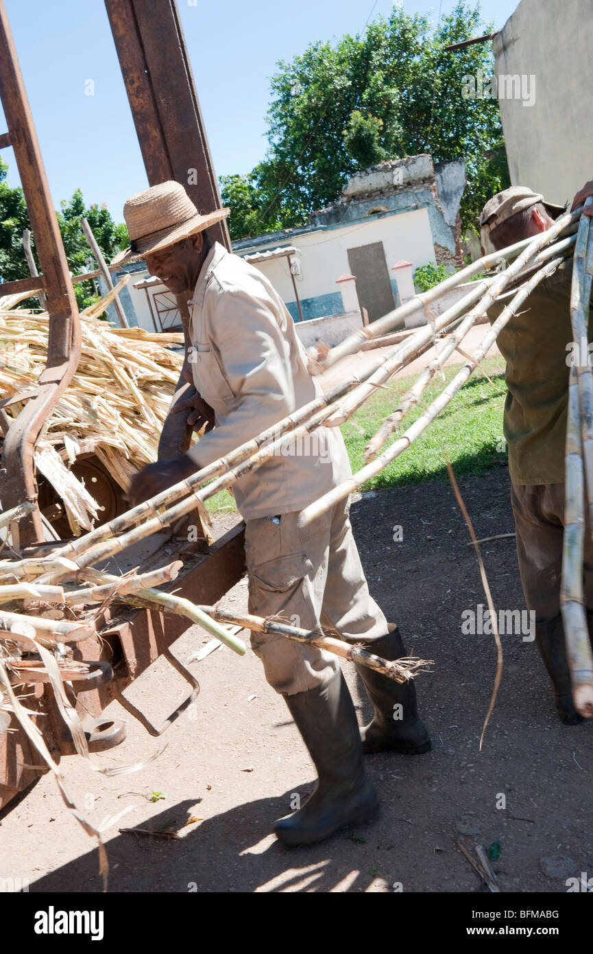 Sugar cane workers australia hi-res stock photography and images - Alamy