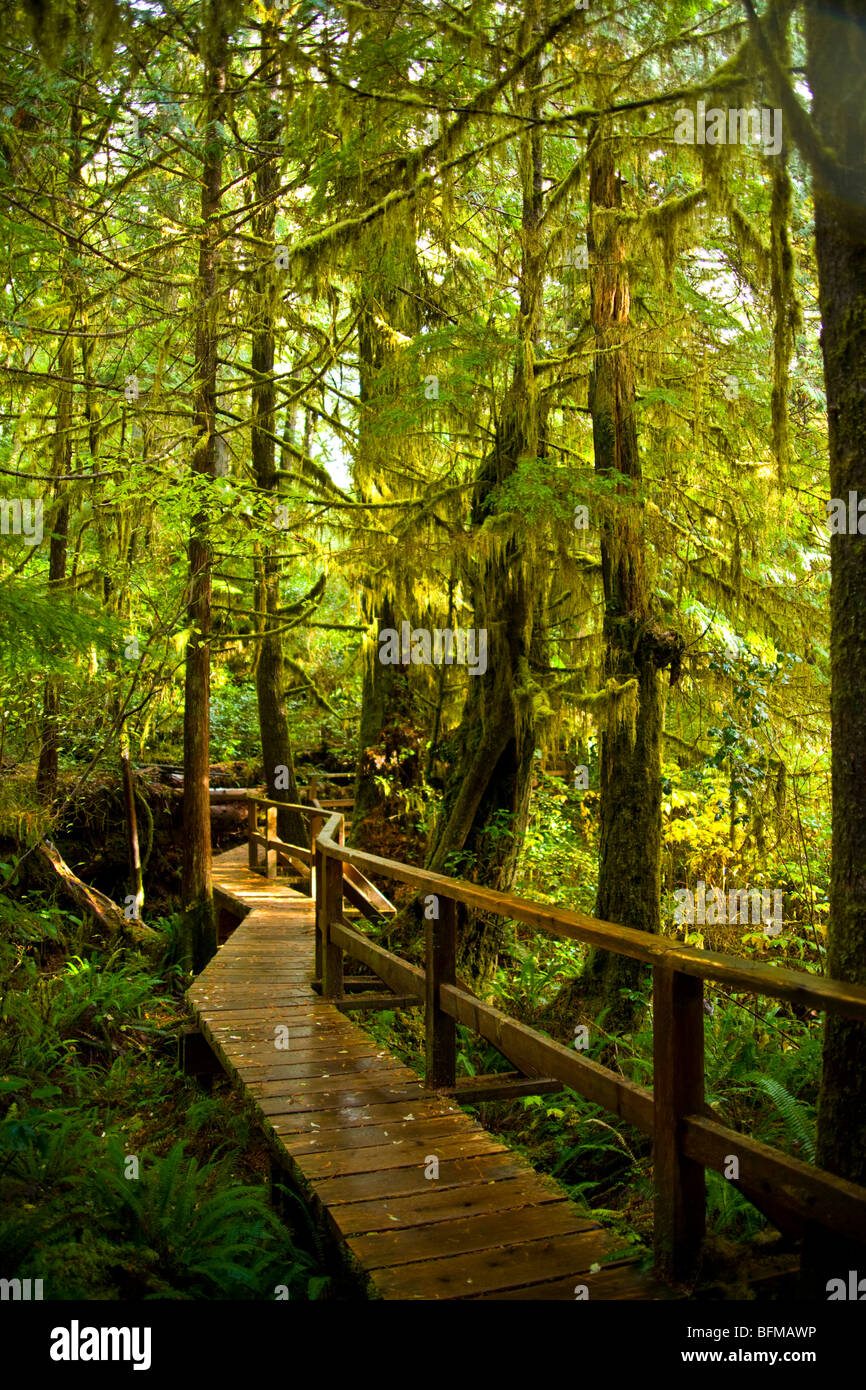 Pacific rim national park hi-res stock photography and images - Alamy