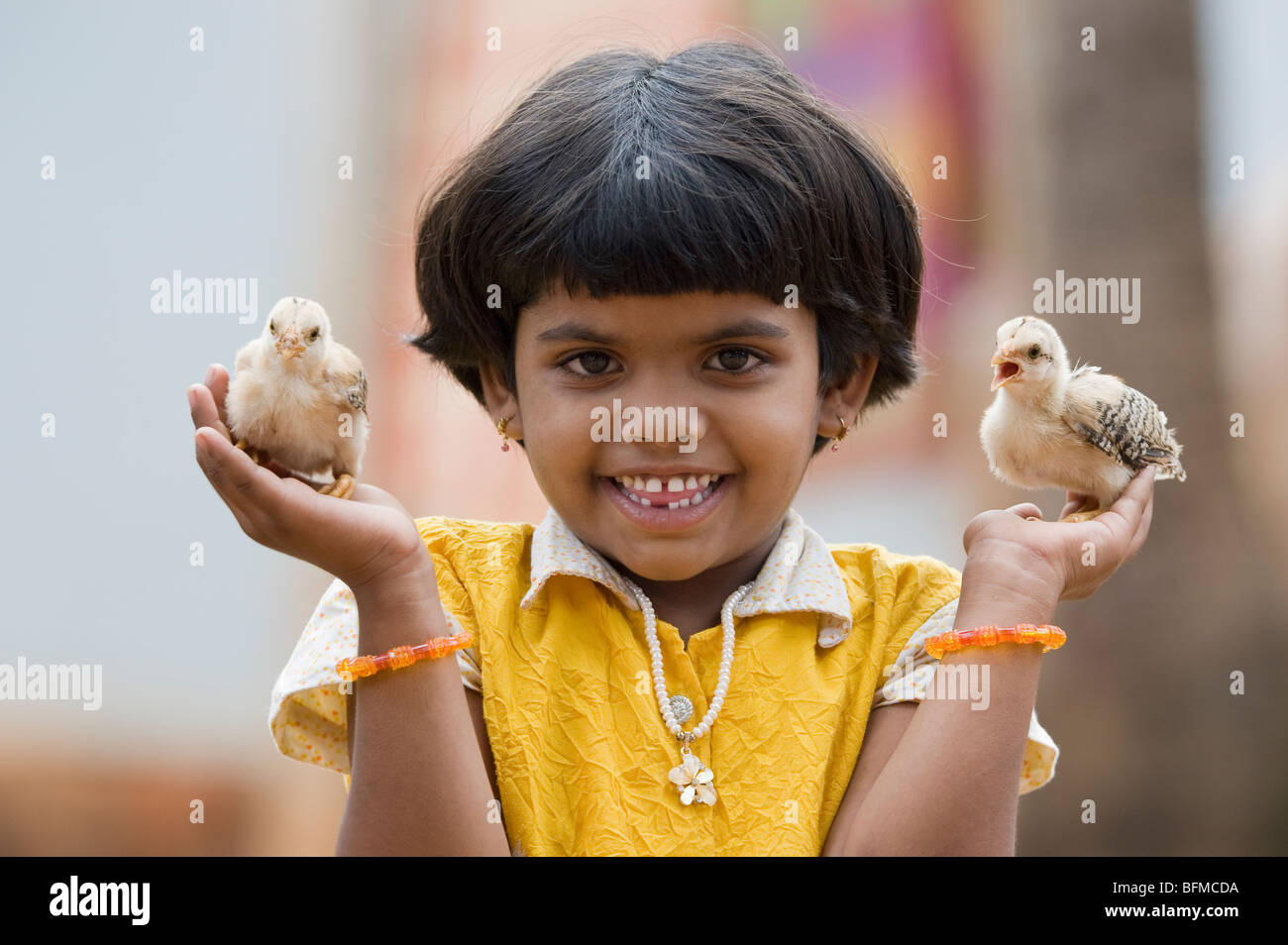 Young indian girl with chicks in the palm of her hands. Nallaguttapalli ...