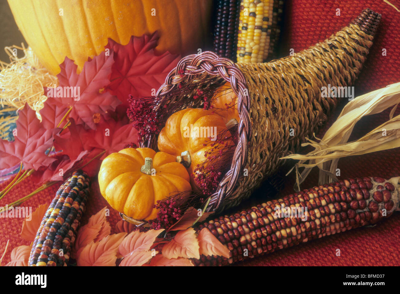 celebration season cornucopia feast plenty thanksgiving still life ...