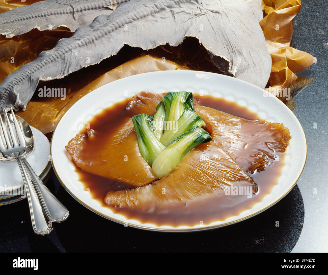 Chinese high fin shark hi-res stock photography and images - Alamy