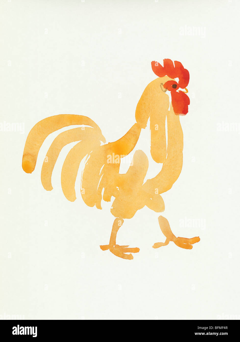 Rooster flower hi-res stock photography and images - Alamy