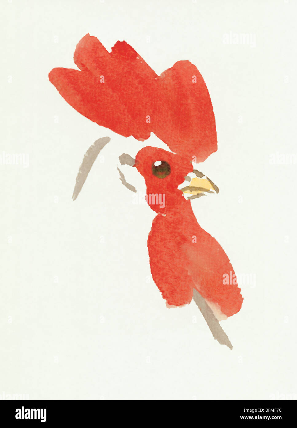 Sea rooster hi-res stock photography and images - Alamy