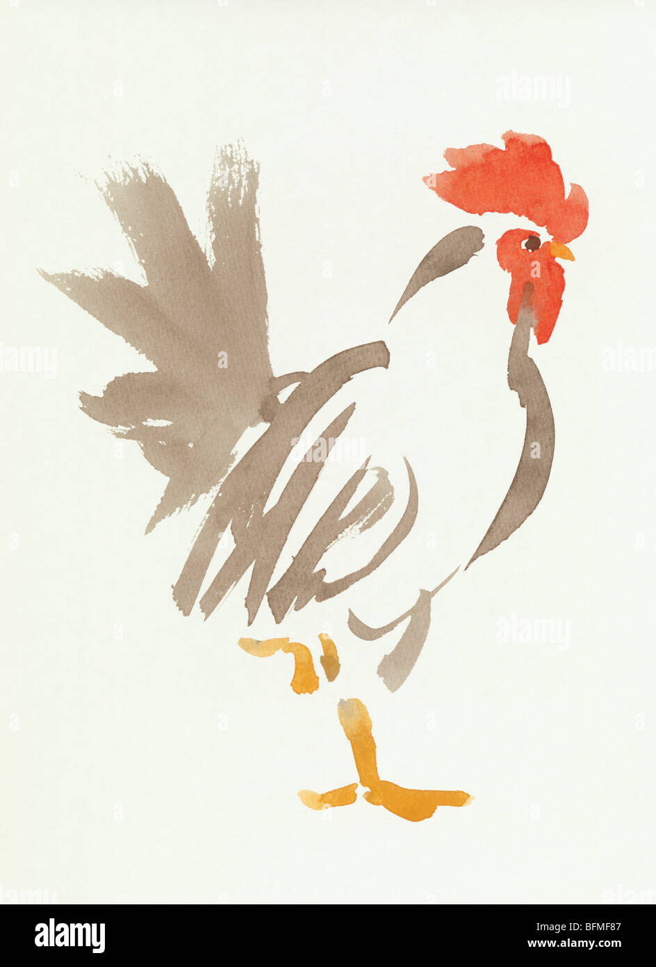Sea rooster hi-res stock photography and images - Alamy