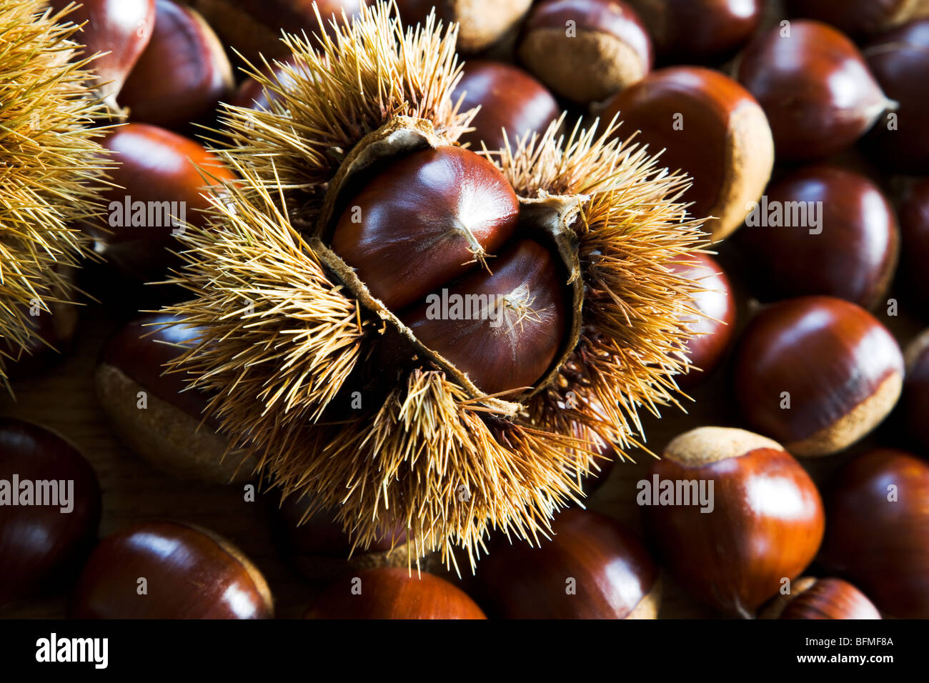 Chestnut grill hi-res stock photography and images - Alamy