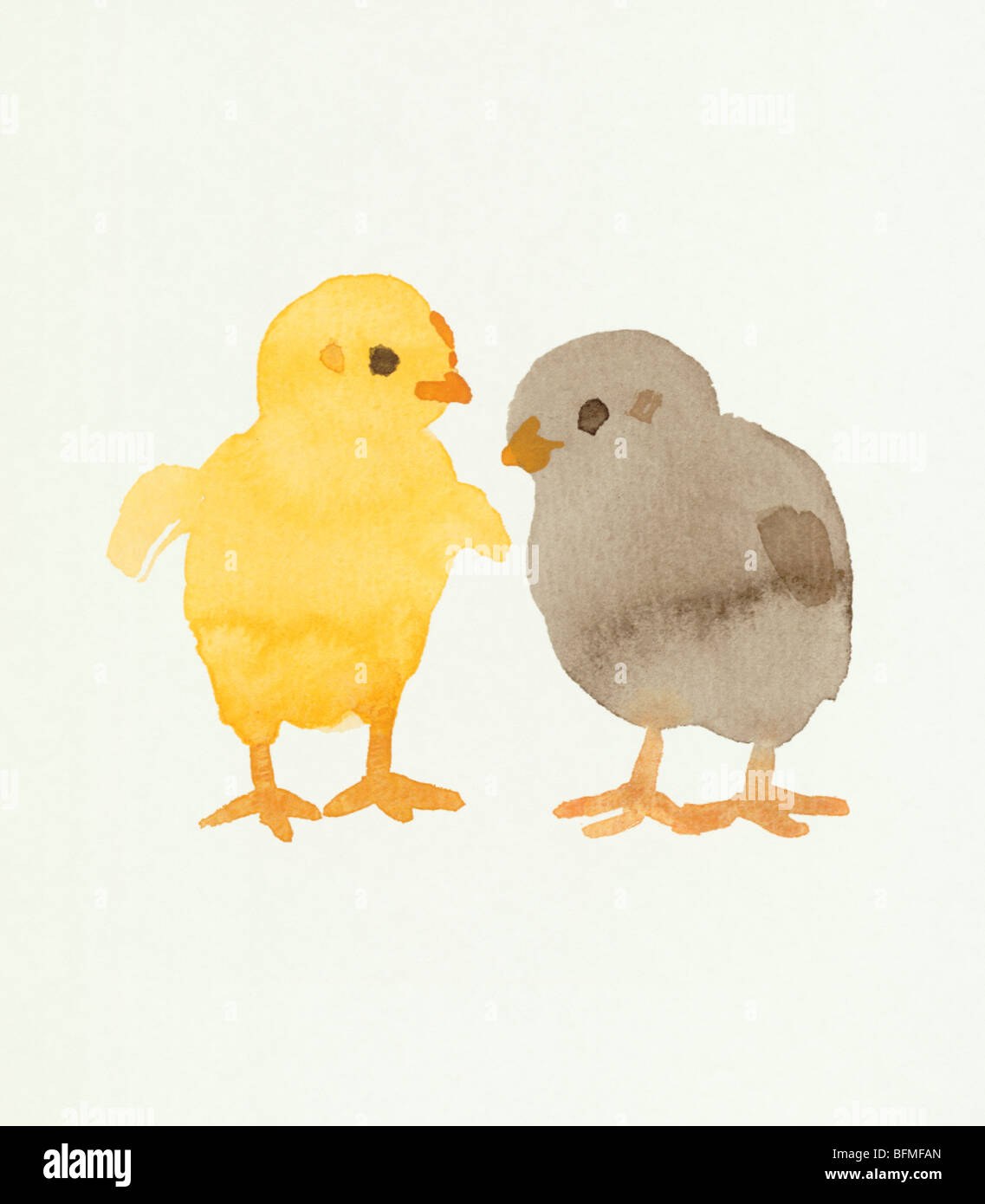 Two Chicks Water Color Painting Stock Photo - Alamy