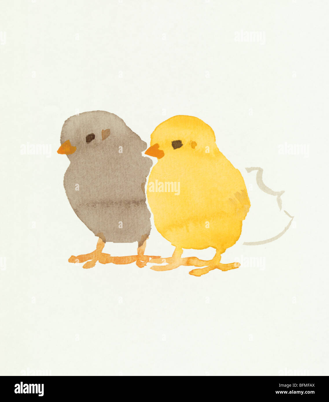 Two Chicks Water Color Painting Stock Photo - Alamy