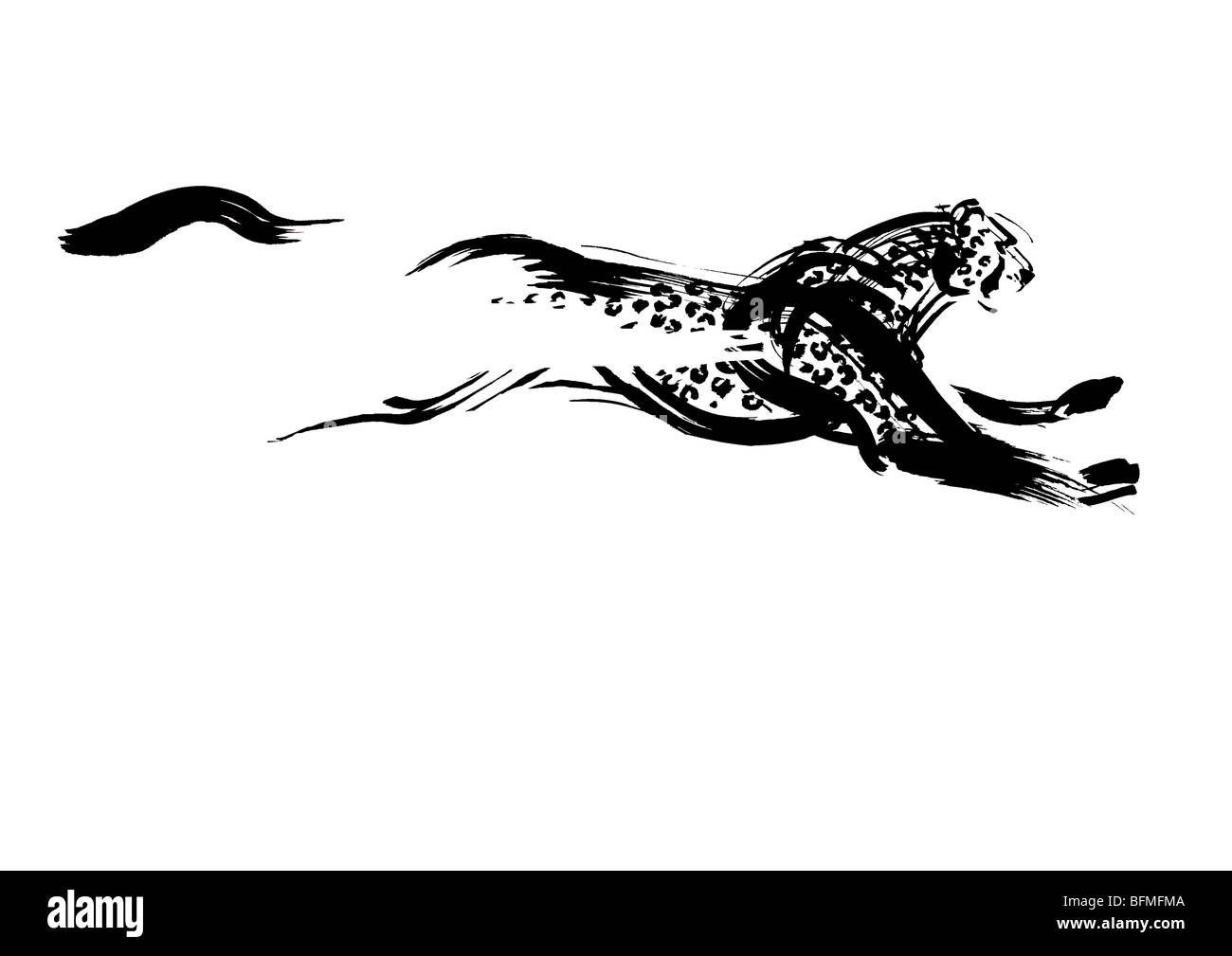 Leopard Running Drawing