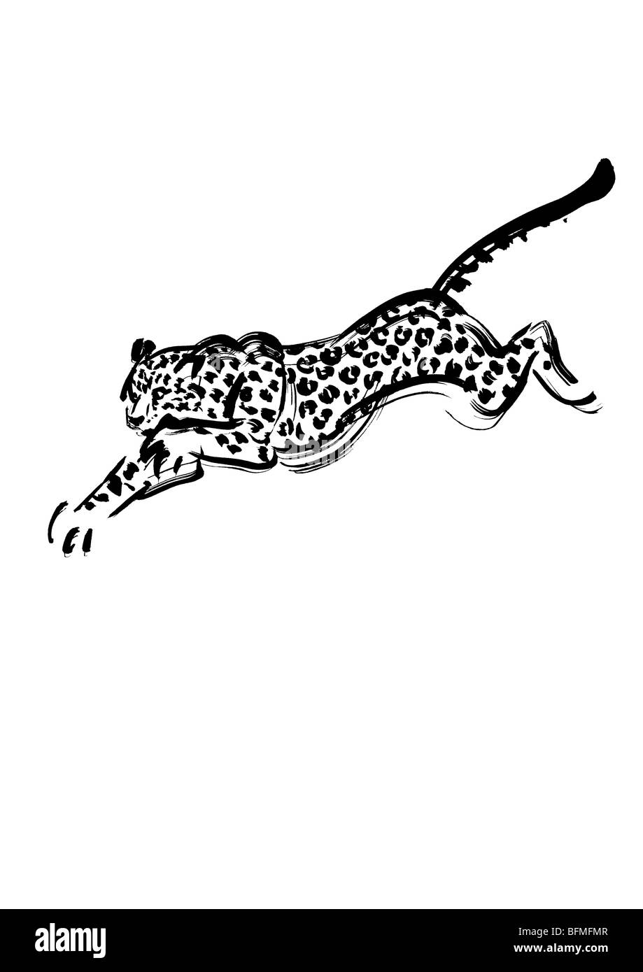 Leopard Pouncing