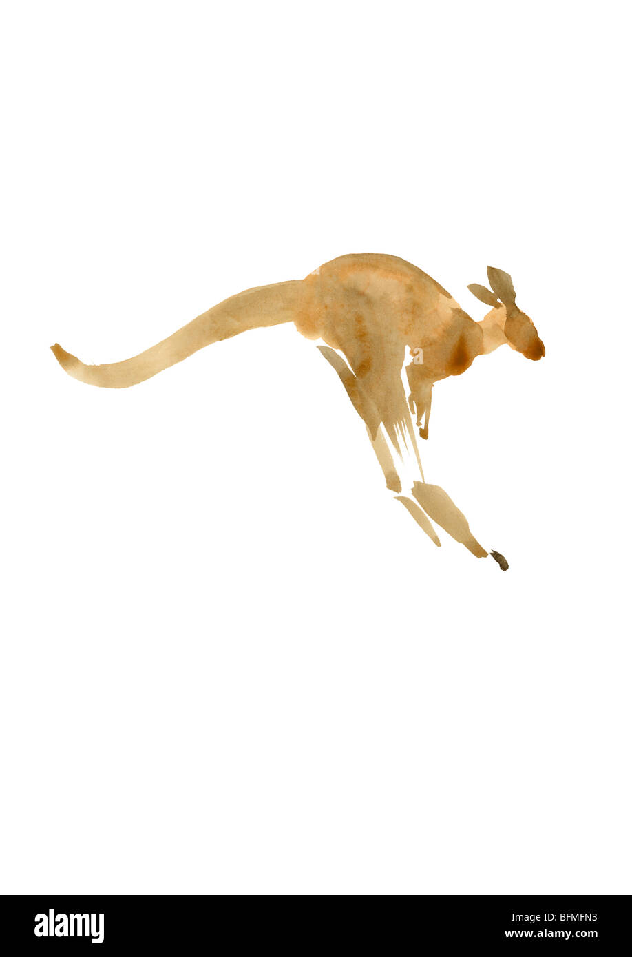 Kangaroo Jumping Drawing