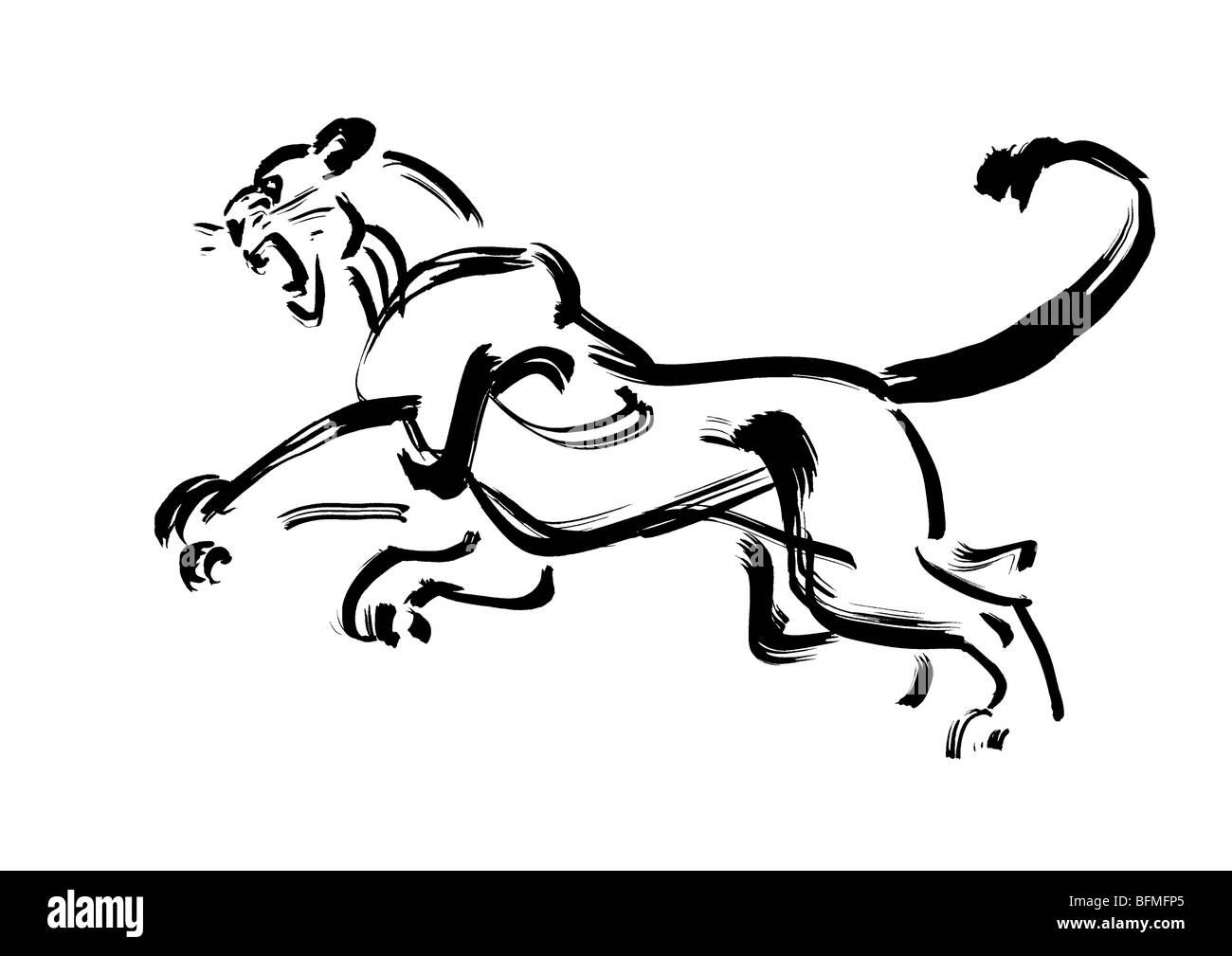 Pouncing Lion Black Ink Illustration Stock Photo - Alamy