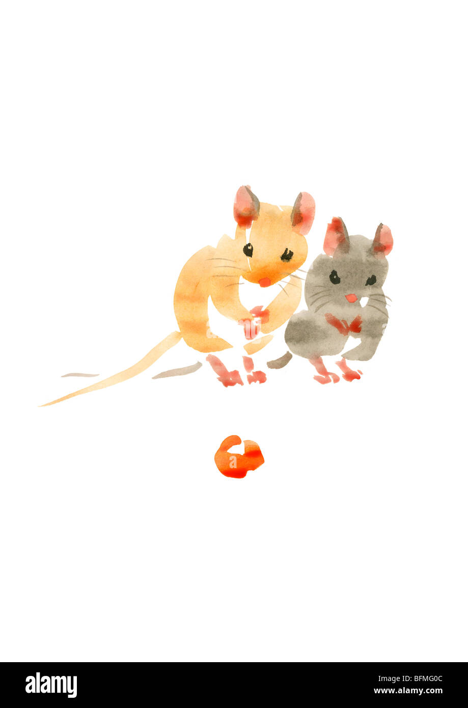 Illustration of two mice looking at cherry, white background Stock ...