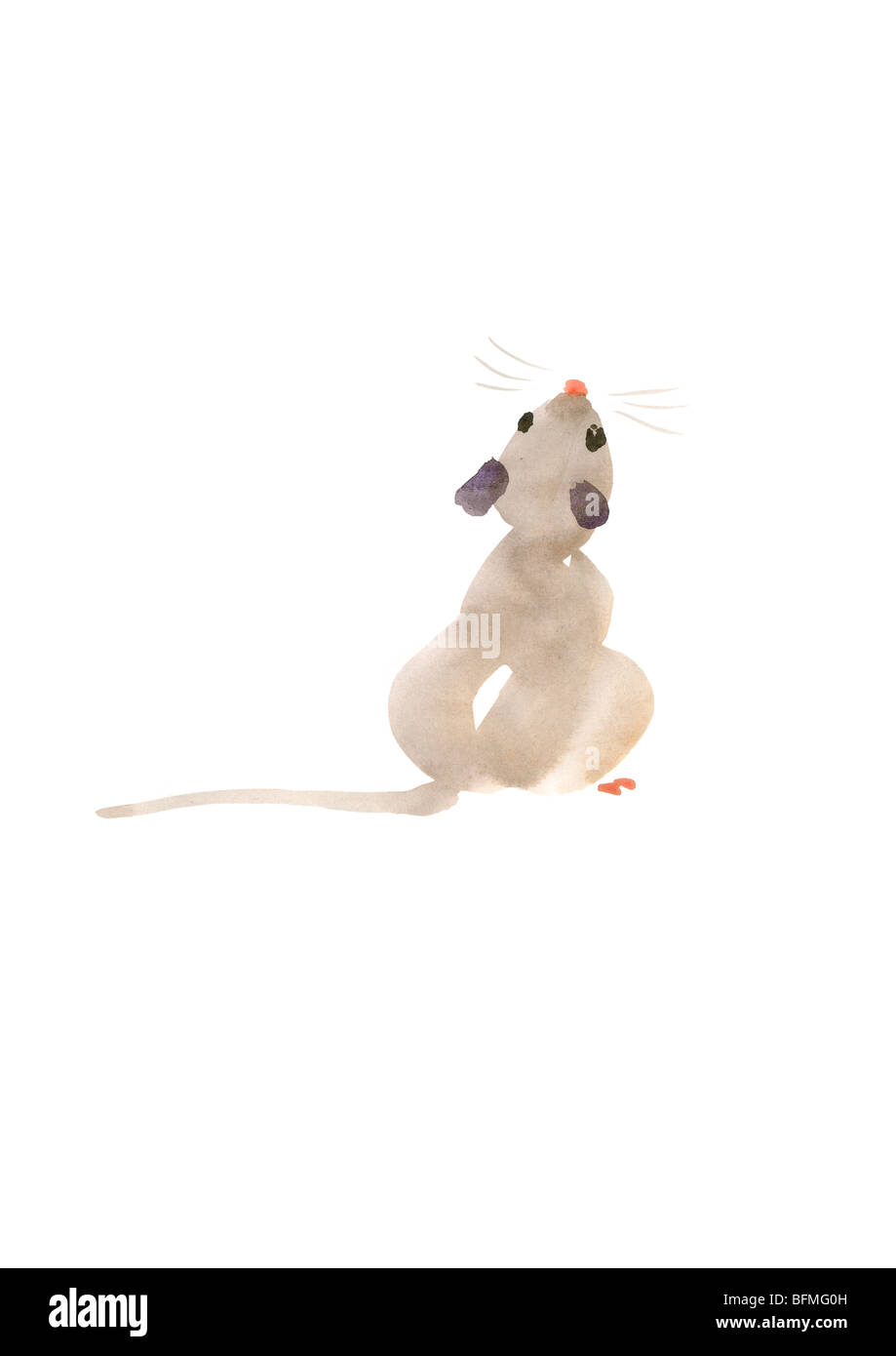 Illustration of mouse looking up, white background Stock Photo - Alamy