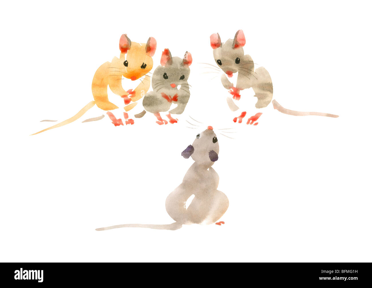 Illustration of four mice, white background Stock Photo - Alamy